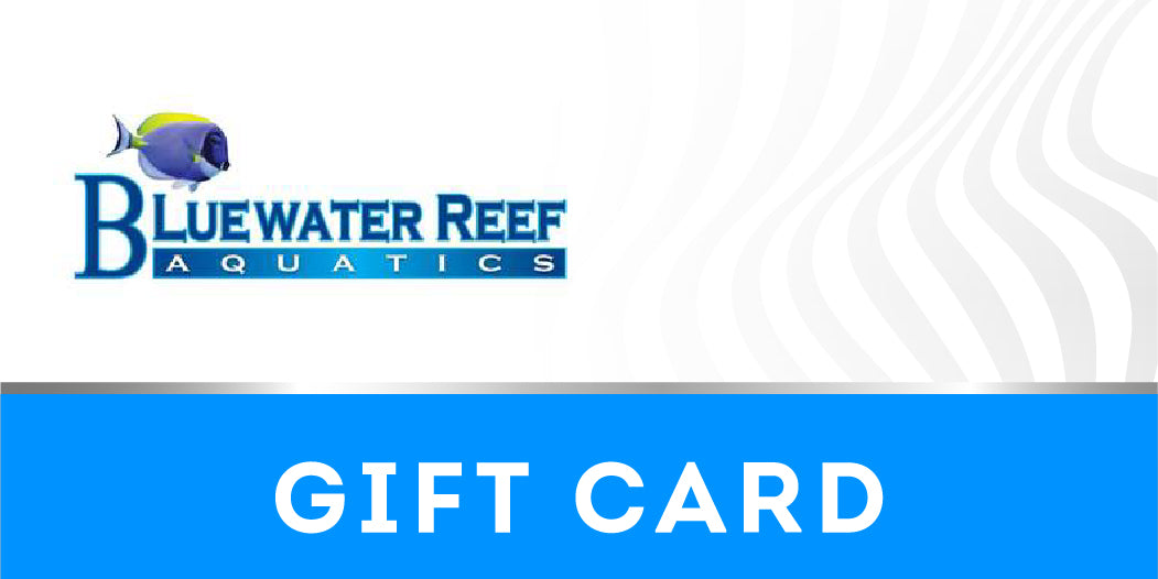 Bluewater Reef Gift Card – BlueWater Reef